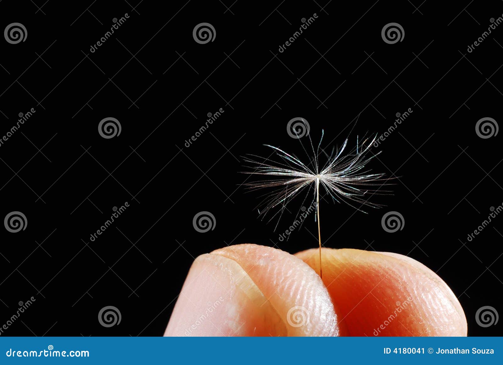 182 Dandy Growing Stock Photos - Free & Royalty-Free Stock Photos from ...