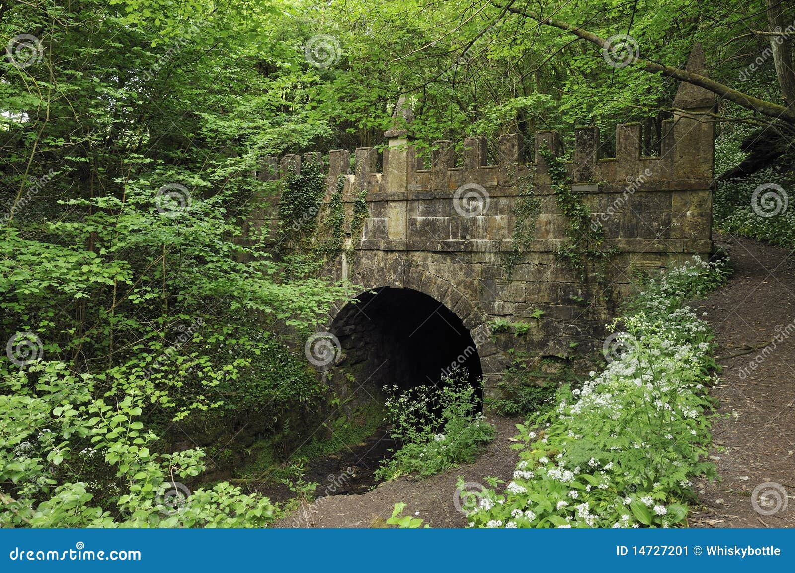 Daneway Portal - Sapperton Tunnel Stock Image - Image of flora, britain ...
