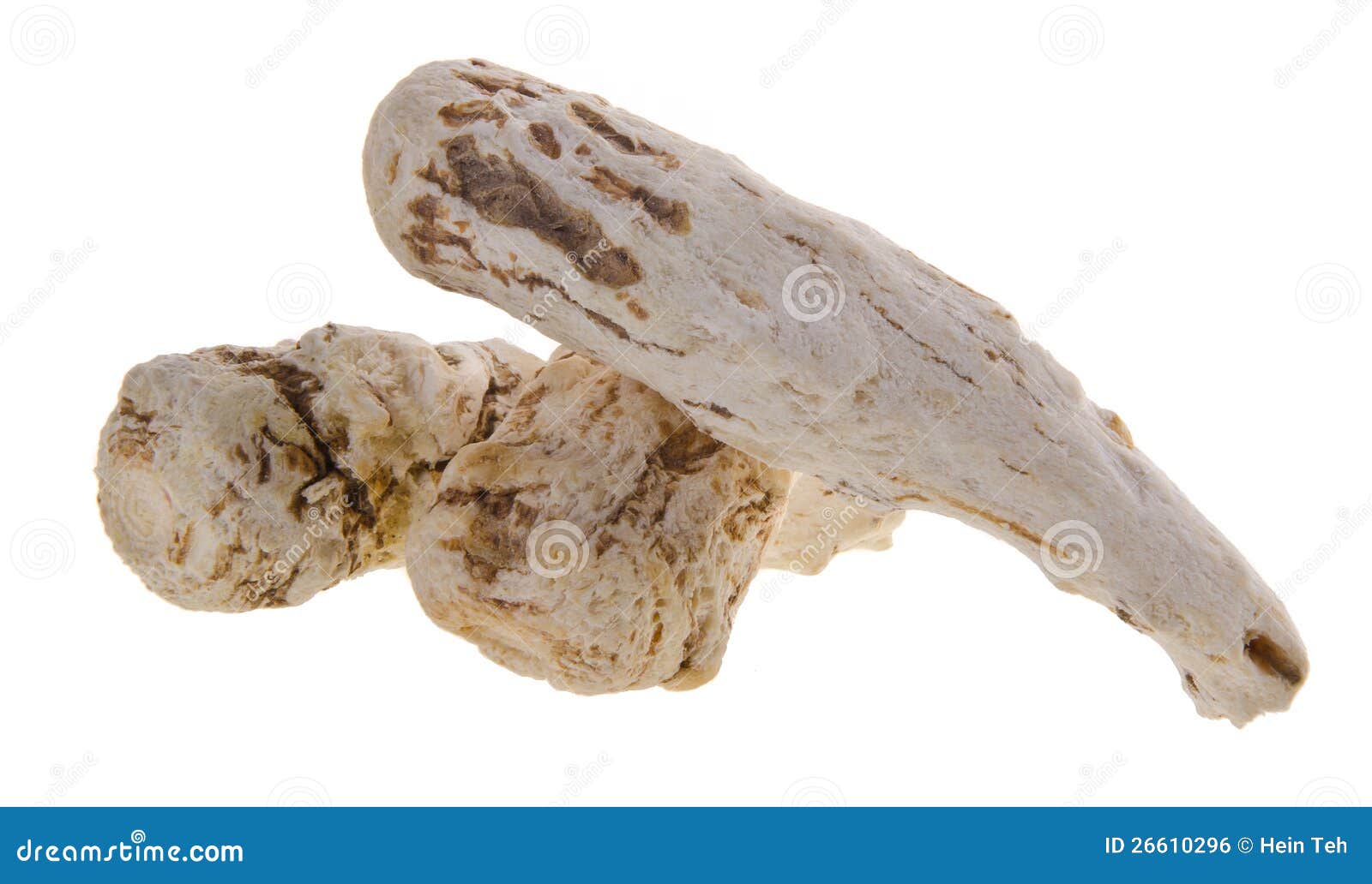 Dang Gui, Angelica Sinensis, Herbal Stock Photo - Image of exotic, diet ...