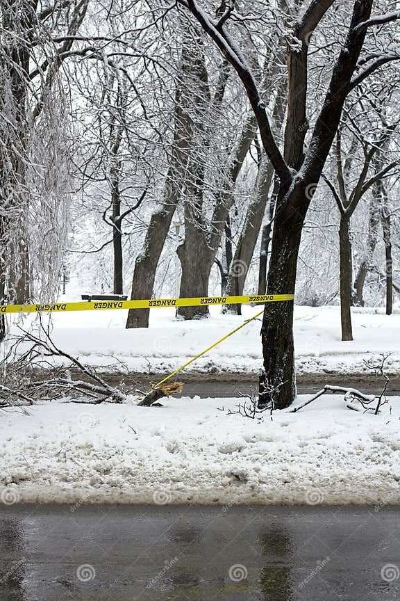 Danger branches falling stock image. Image of sign, snowy - 29586271