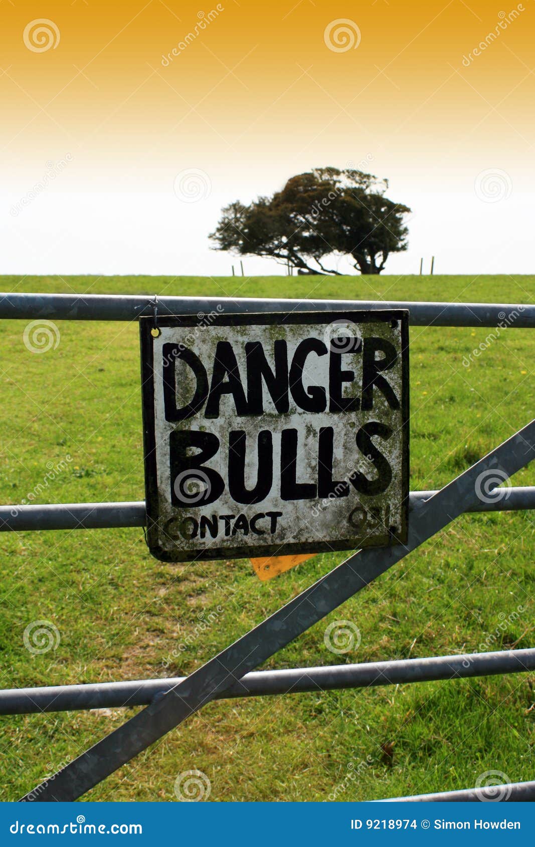 Danger Bulls stock photo. Image of gate, entrance, green - 9218974