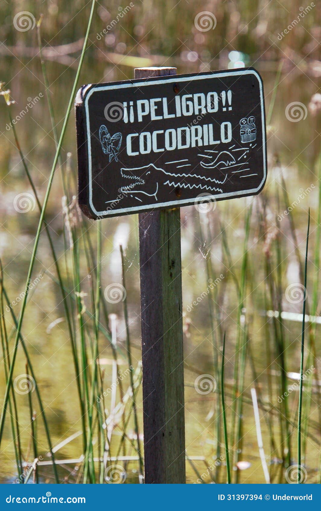 Danger Crocodile Sign stock photo. Image of nature, danger - 31397394