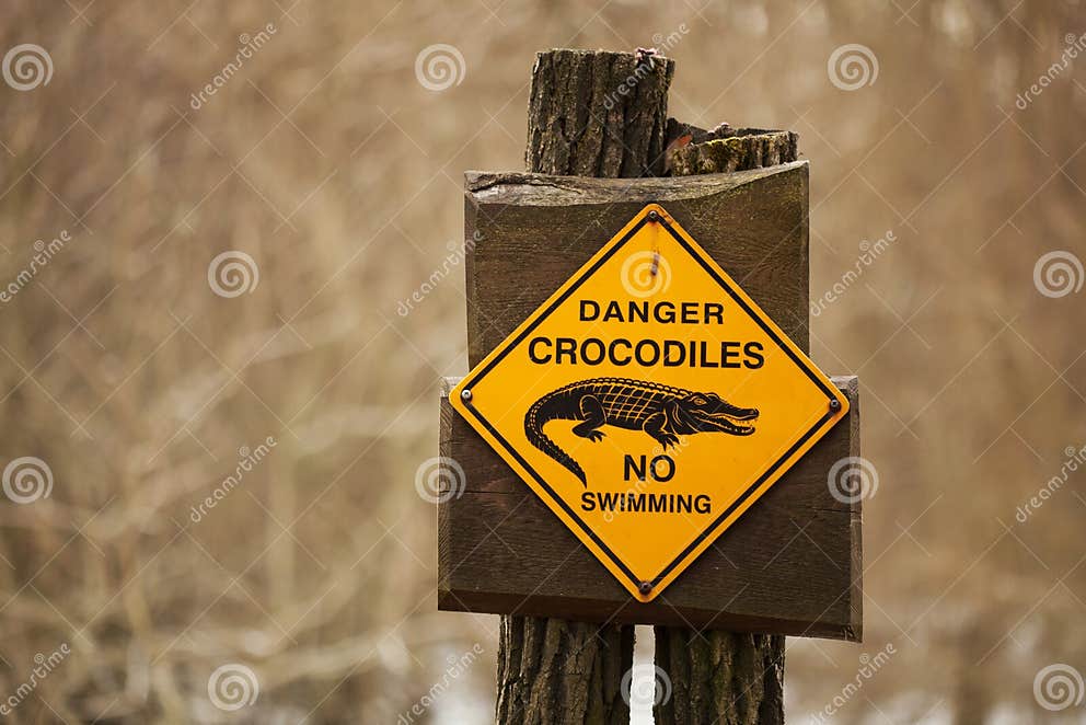 Danger crocodiles sign stock photo. Image of notice, prohibition - 29690224