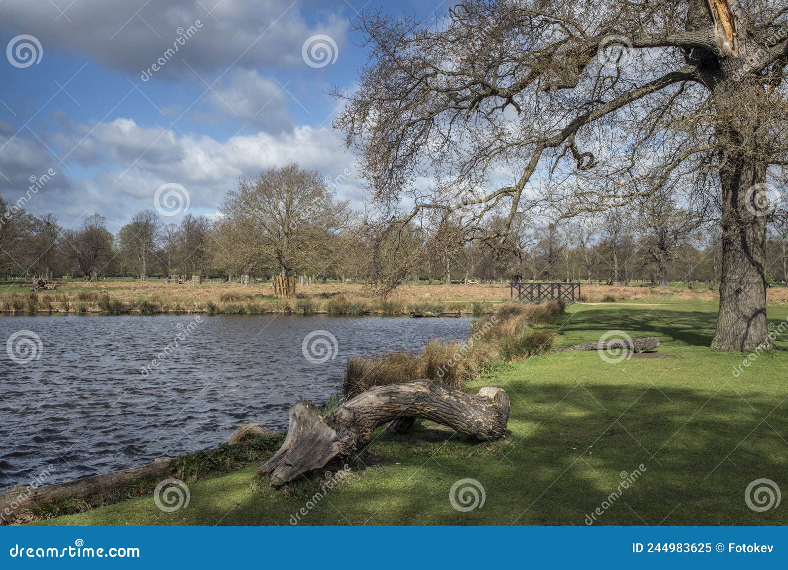 Danger of Fallen Tree Branch Stock Image - Image of climbing ...