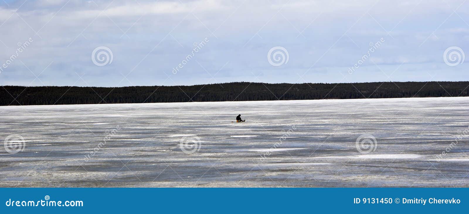 Danger fish catching stock photo. Image of spring, lake - 9131450