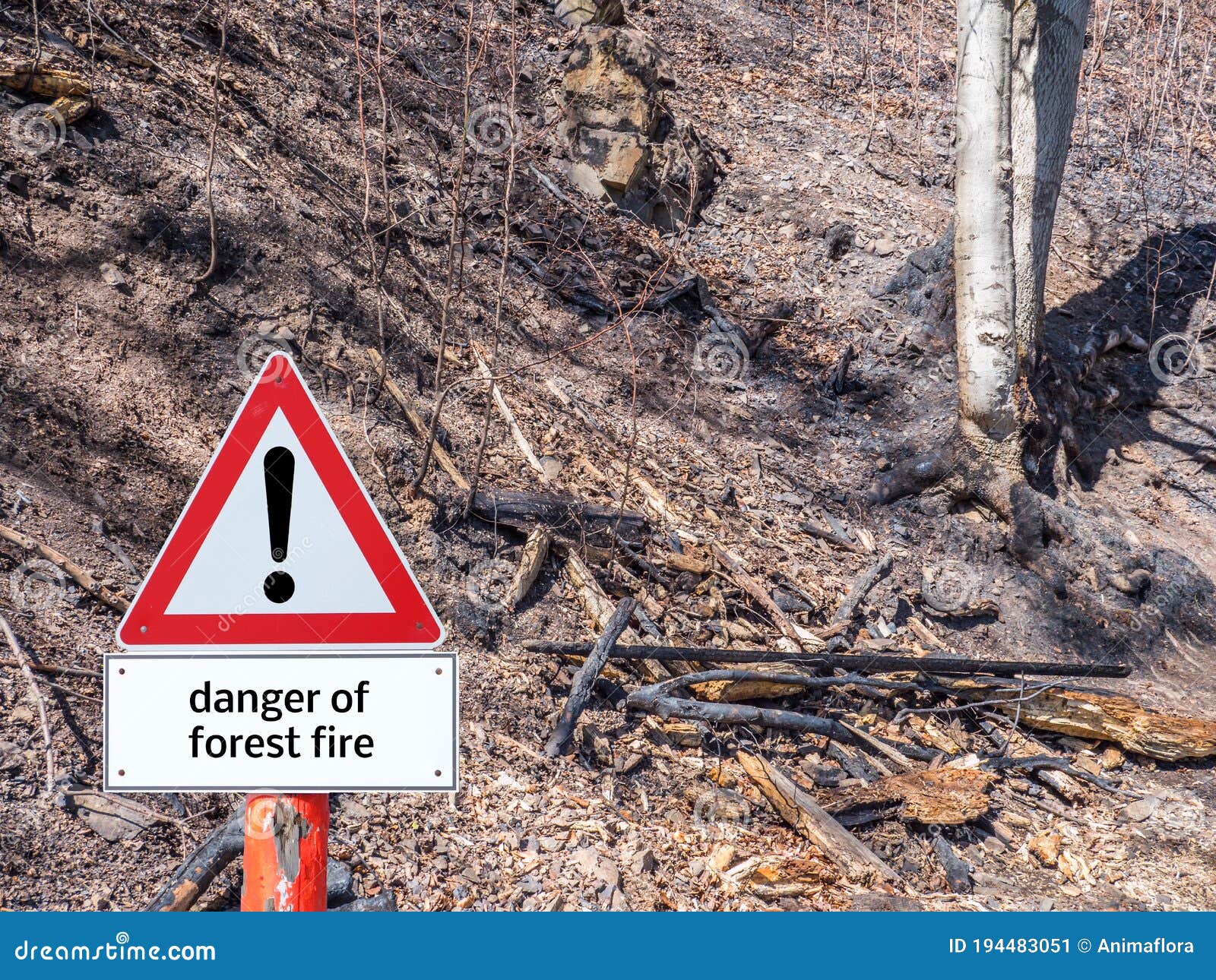 Danger Of Forest Fire Sign Royalty-Free Stock Photography ...