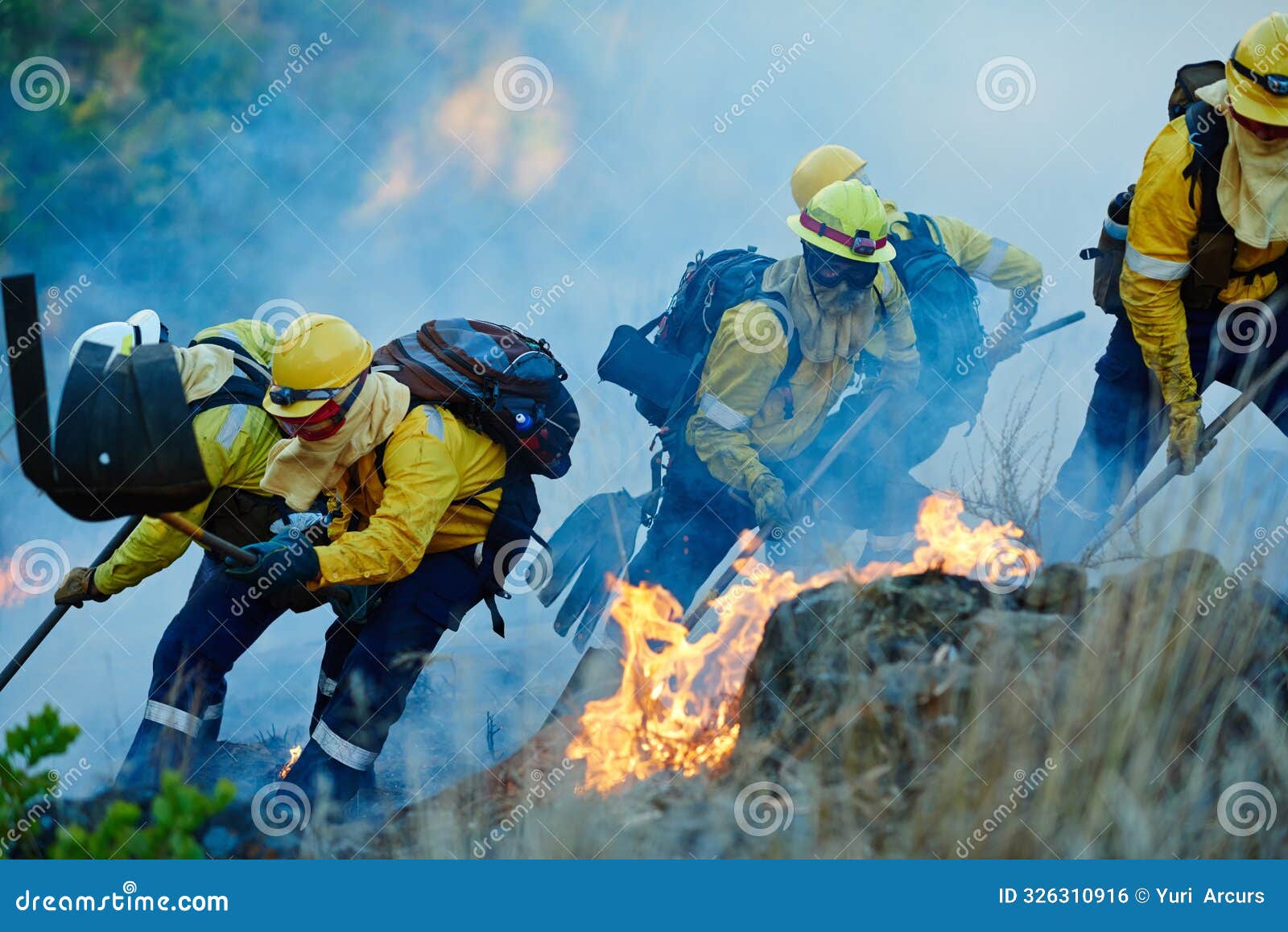 Danger, Forest and Firefighter Team with Emergency, Disaster Management ...