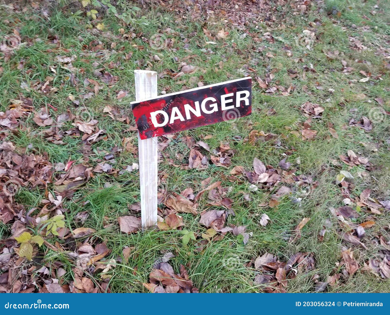 Danger haunted sign stock photo. Image of sign, danger - 203056324
