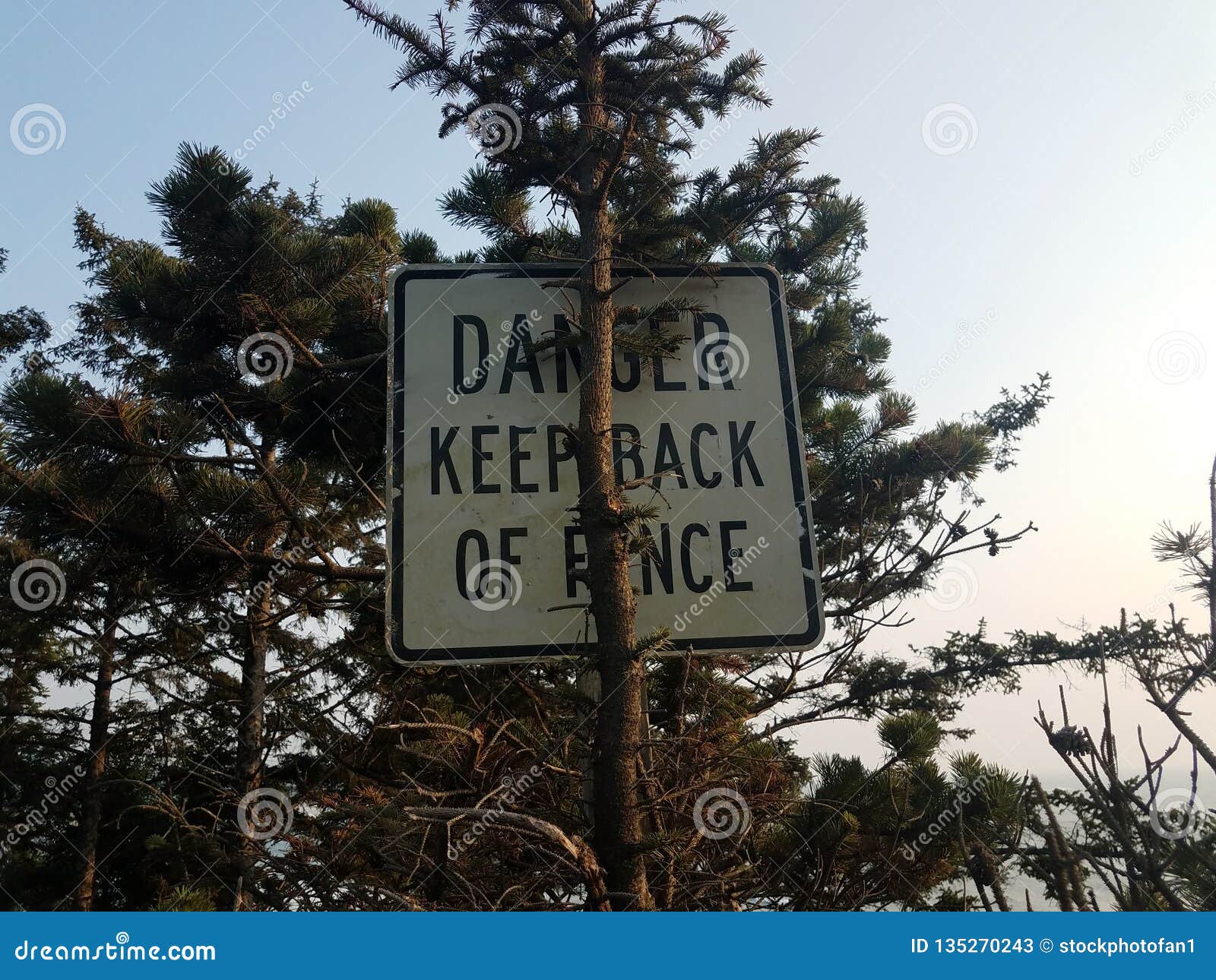 Danger Keep Back of Fence Sign in Tree Stock Image - Image of sign ...