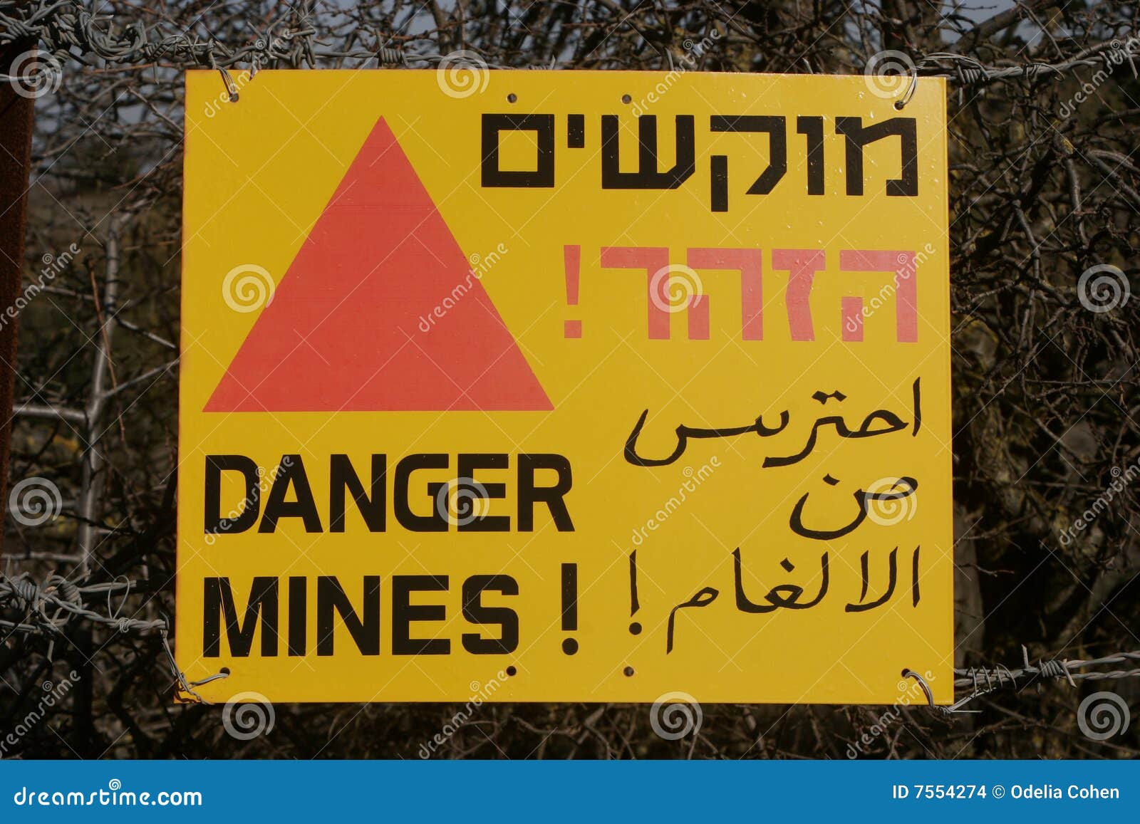 Danger - mines sign stock photo. Image of military, warning - 7554274