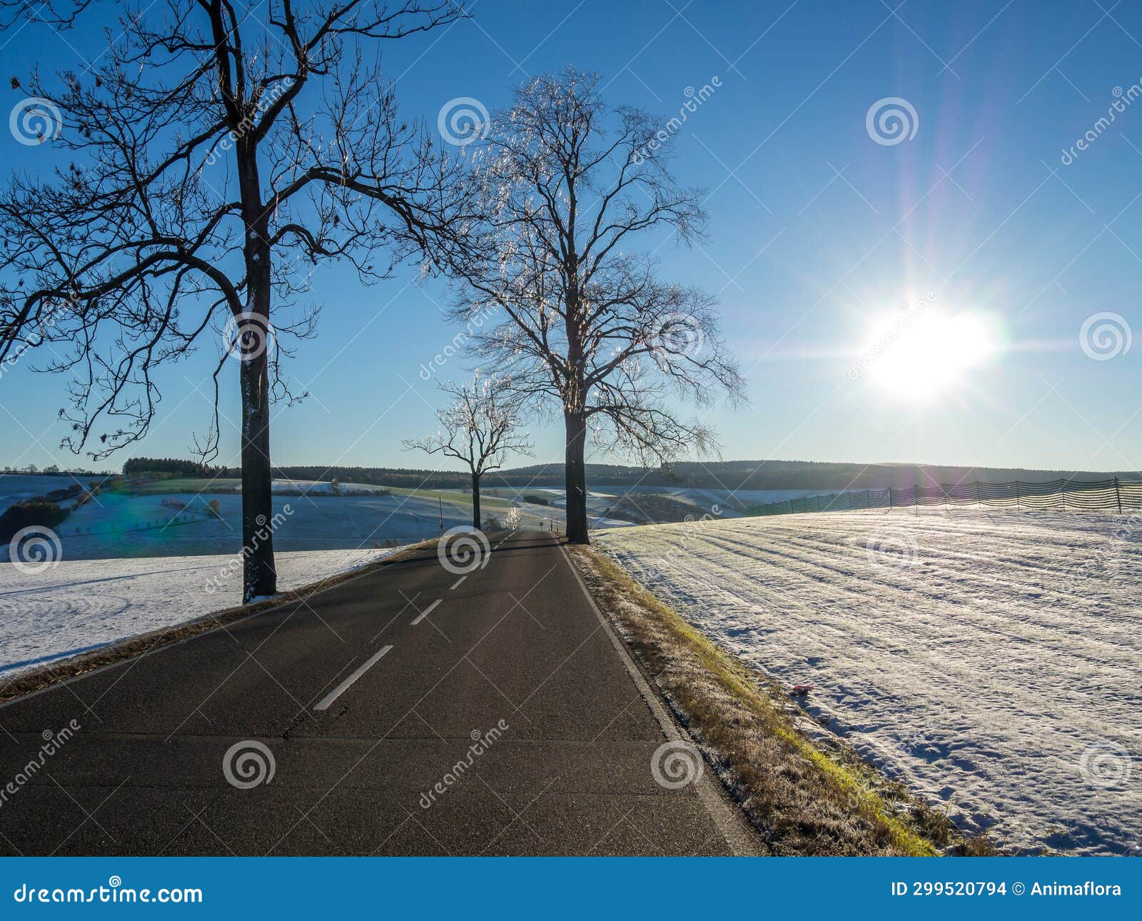 Danger on the Road in Winter with Low Sun Stock Photo - Image of ...