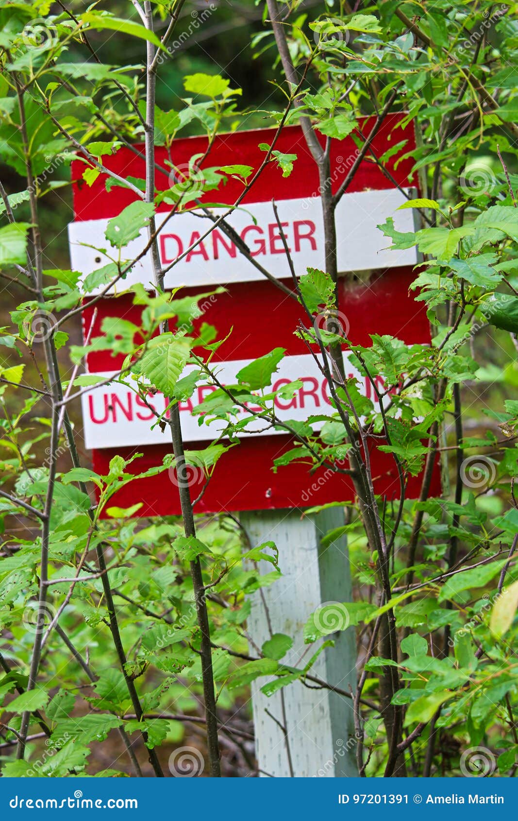 A Danger, Unstable Ground Sign Obscured by Trees Stock Image - Image of ...
