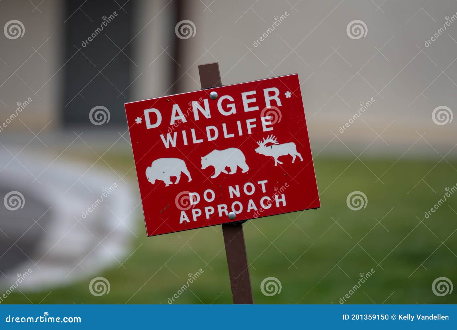 Danger Wildlife Do Not Approach Sign Stock Photo - Image of safety ...