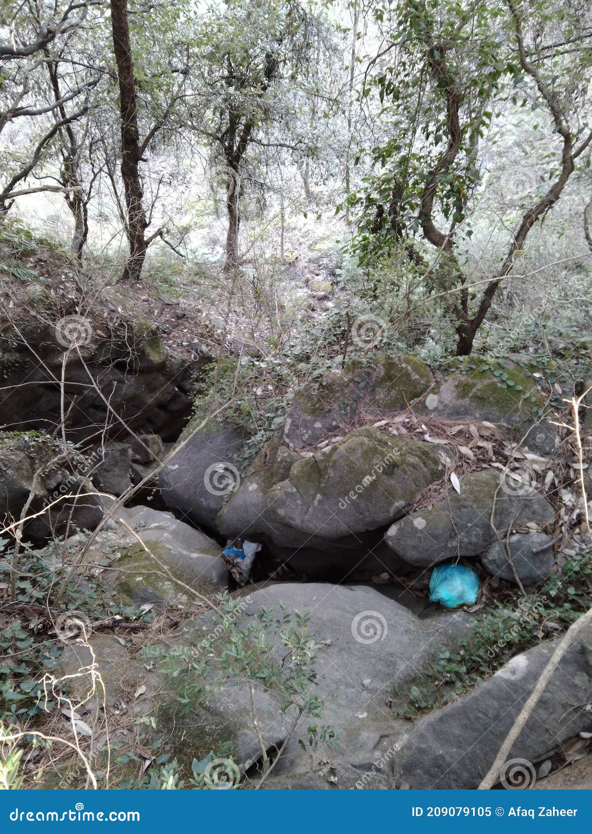 A dangerous ditch. stock image. Image of height, hill - 209079105
