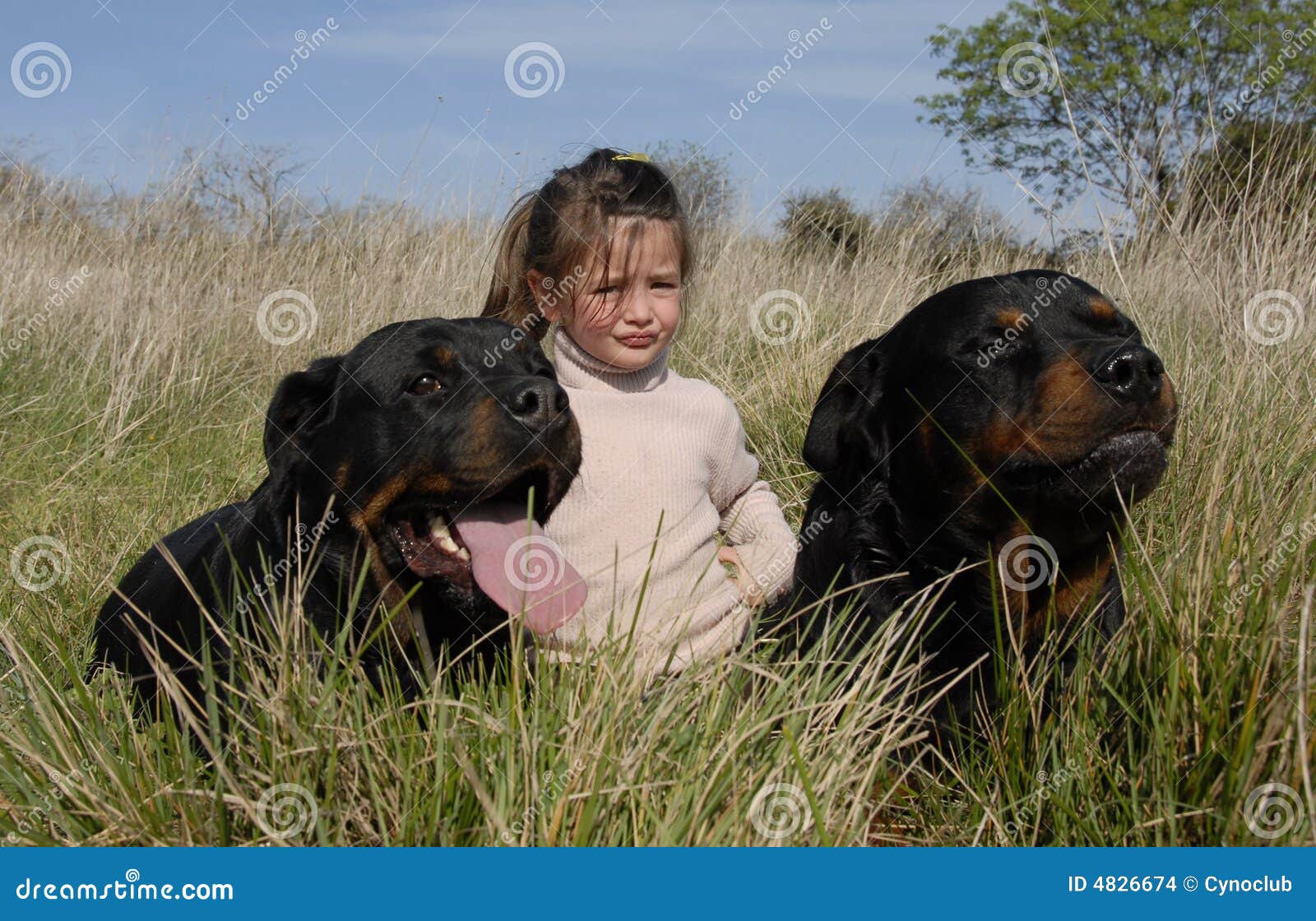 Are Rottweilers Good With Babies