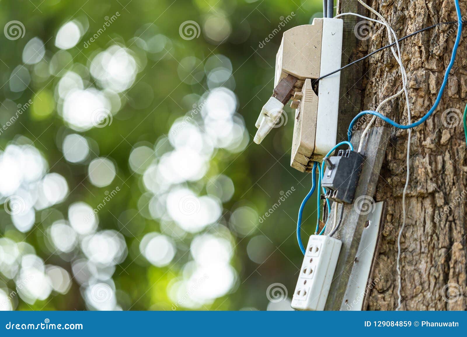 Dangerous Electric Cable and Equipment Set Up on the Tree Stock Image ...