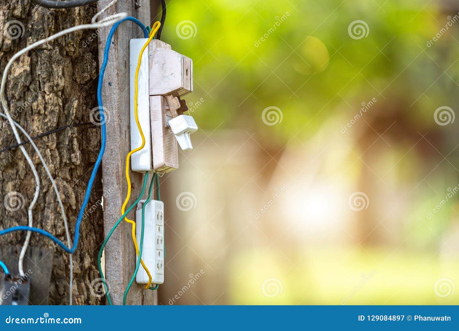 Dangerous Electric Cable and Equipment Set Up on the Tree Stock Image ...