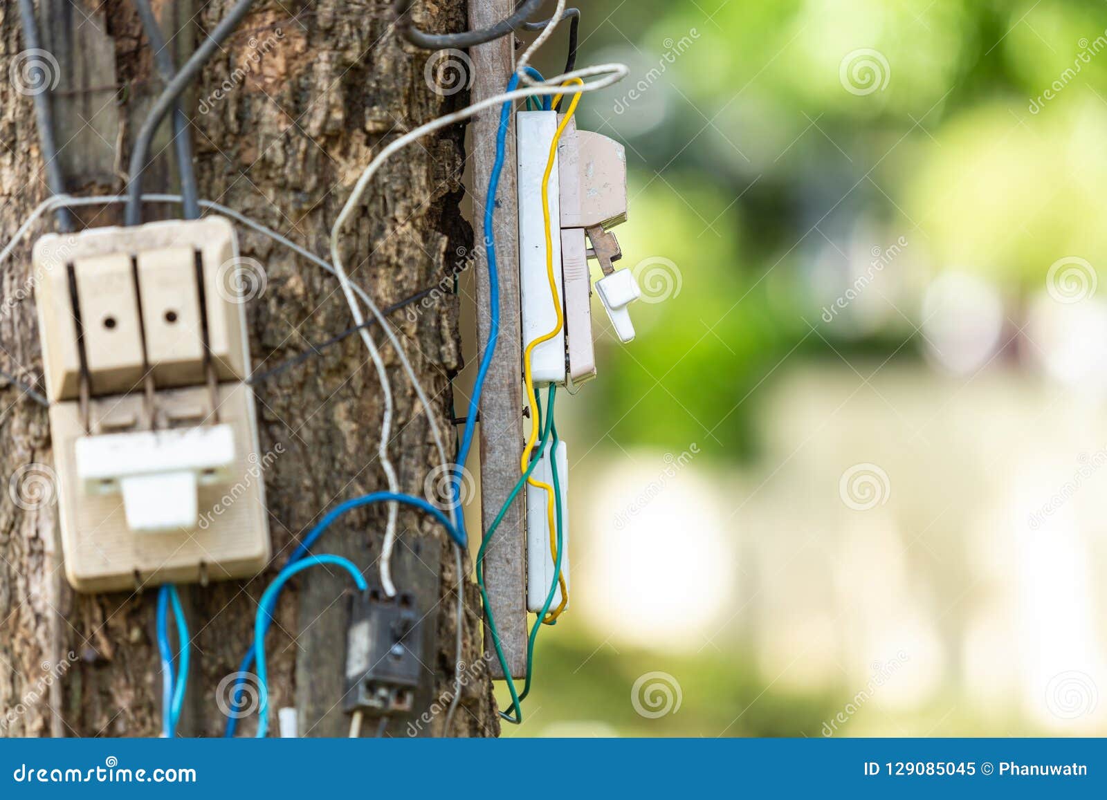 Dangerous Electric Cable and Equipment Set Up on the Tree Stock Image ...