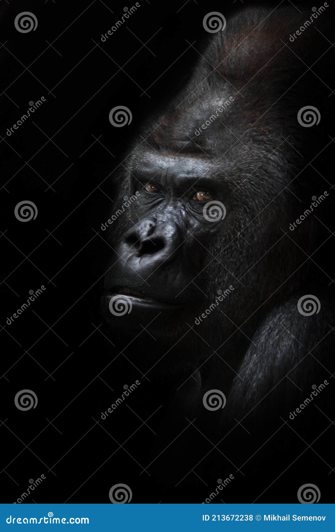 Dangerous Half Open Broken Rusty Hatch Sewer Manhole, Standing On The ...