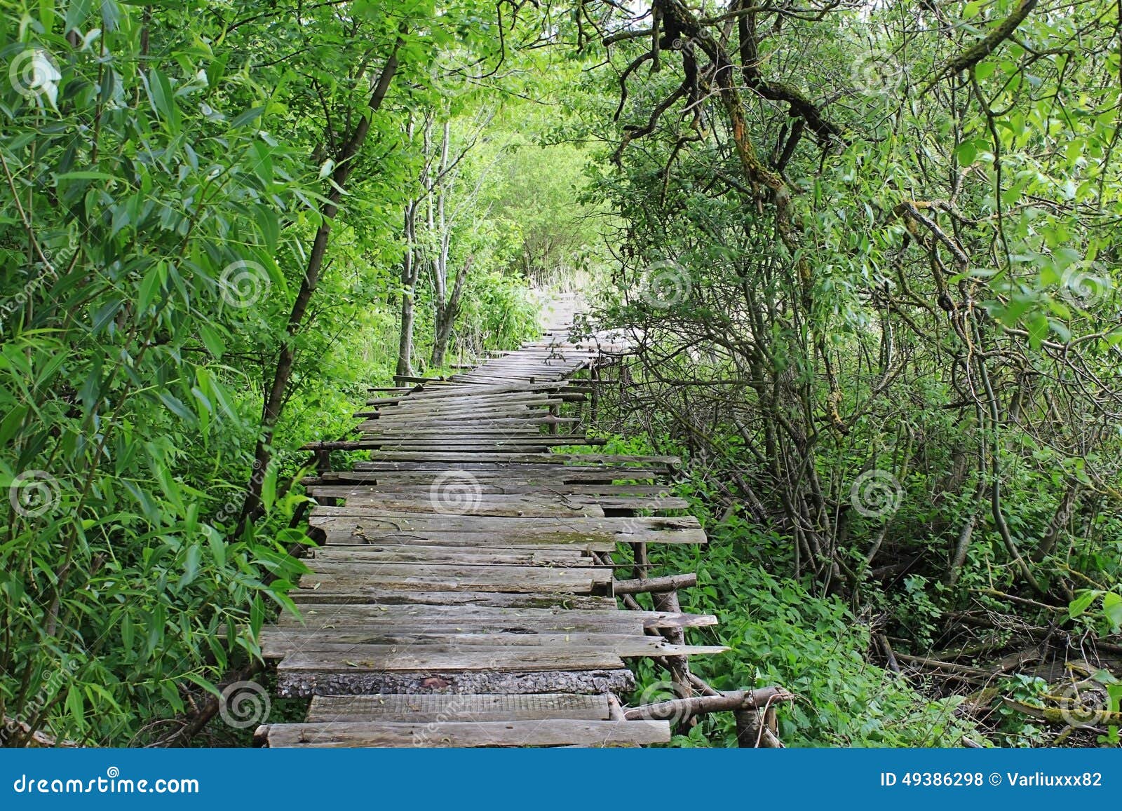 Dangerous If Broken Wooden Bridge Stock Photo - Image of exploration ...