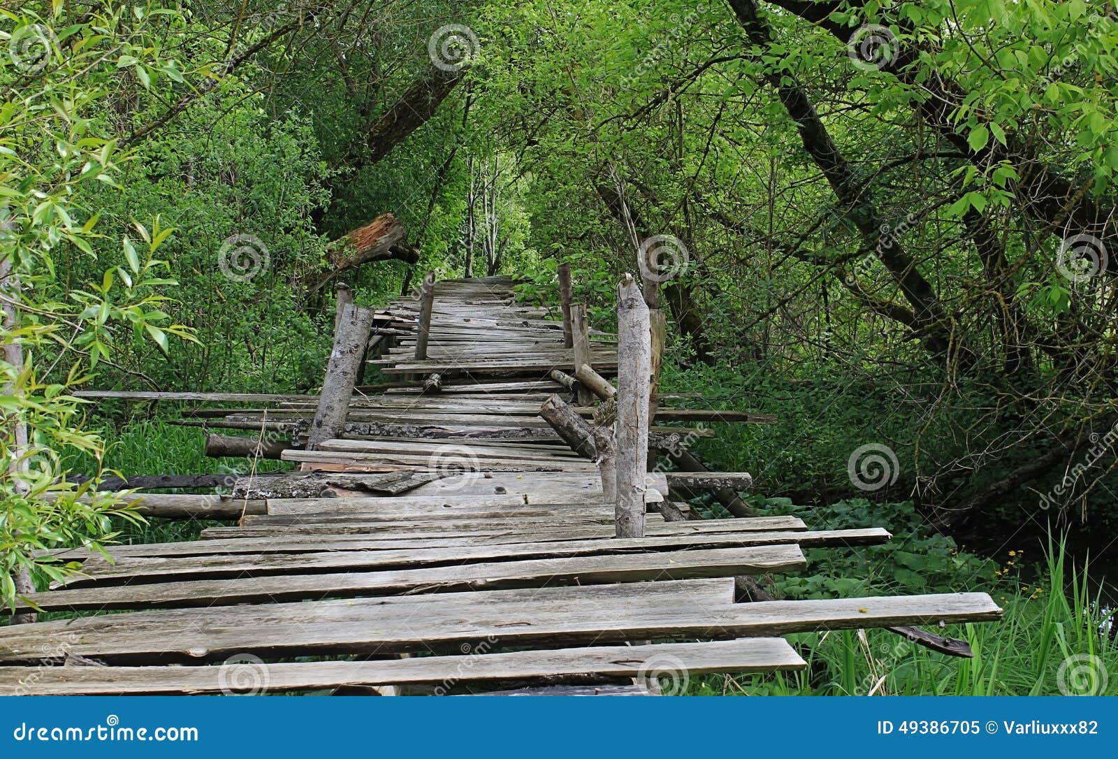 Dangerous If Broken Wooden Bridge Stock Image - Image of adventure ...