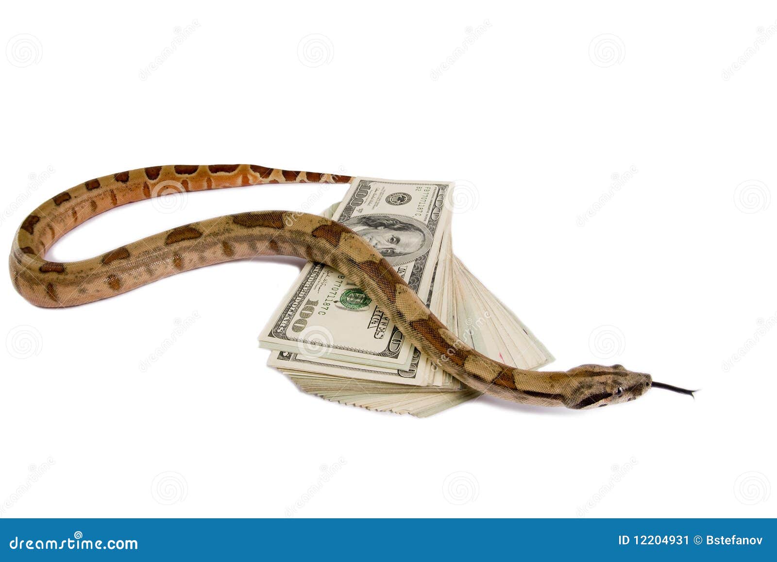 Dangerous money. stock image. Image of economy, idea - 12204931