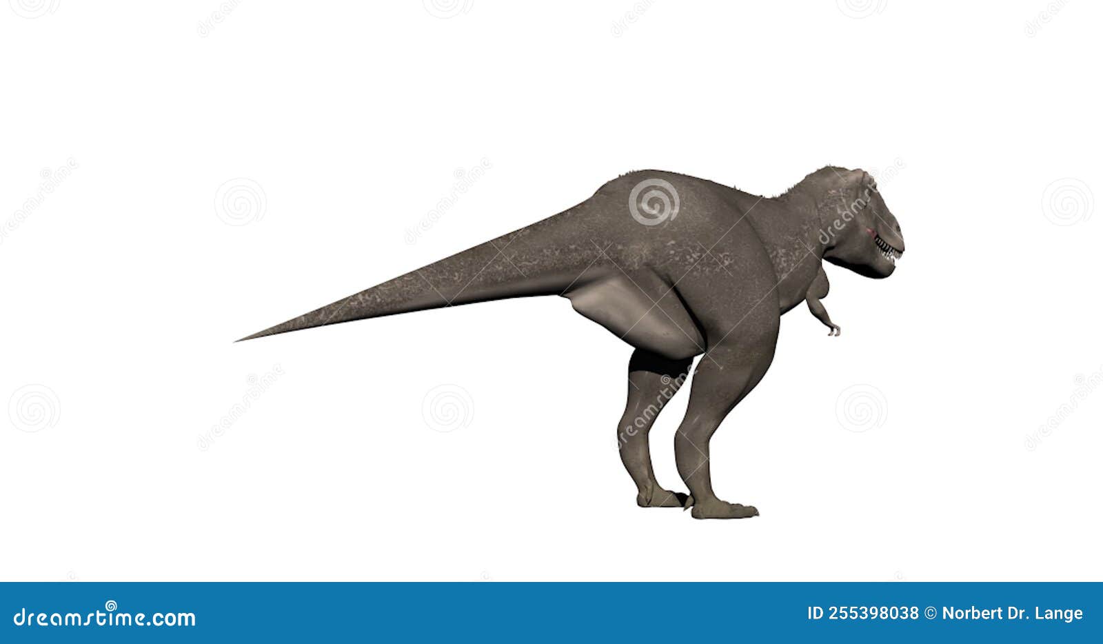 Dangerous T-Rex dinosaur stock footage. Video of dragons - 255398038