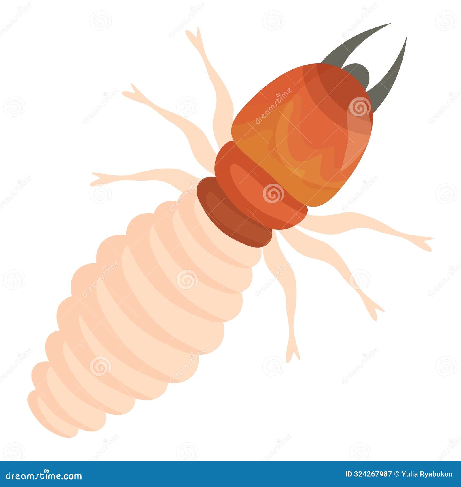 Termite,insect,nest,teeth,bite,nest,nuisance,sharp,disease,nature,wood ...