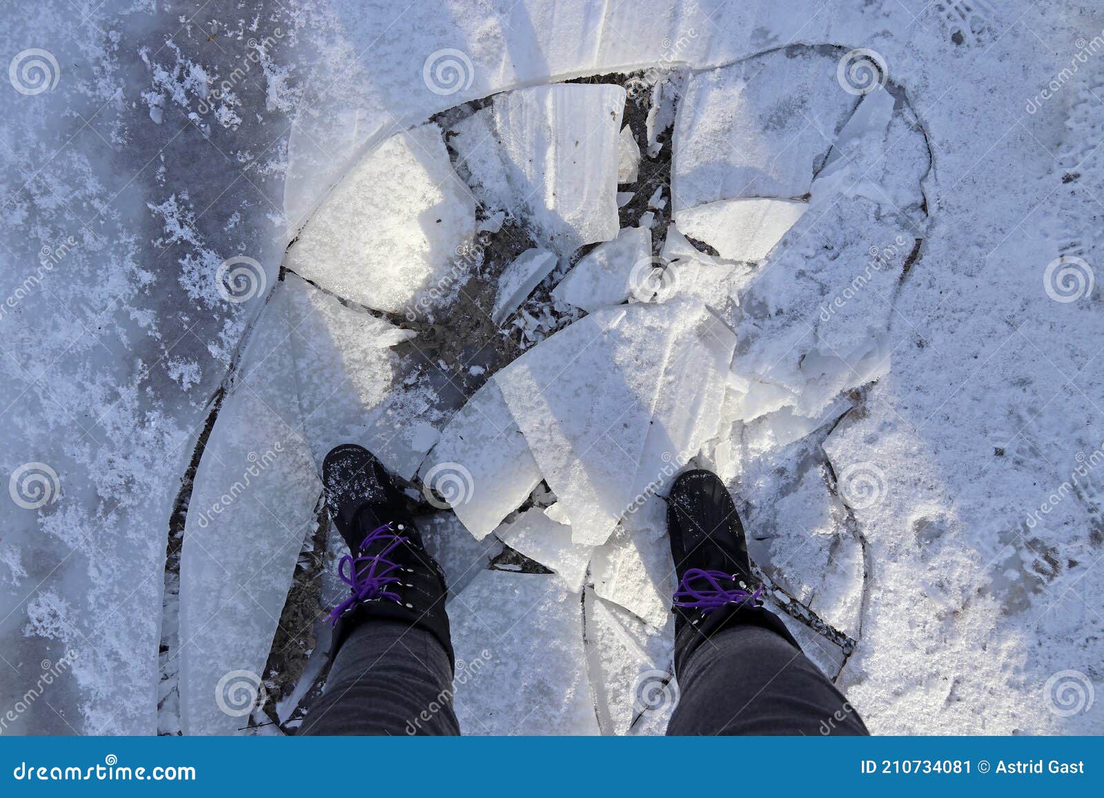 Dangerous Thin Ice. a Woman Broke into the Ice in Winter Stock Image ...