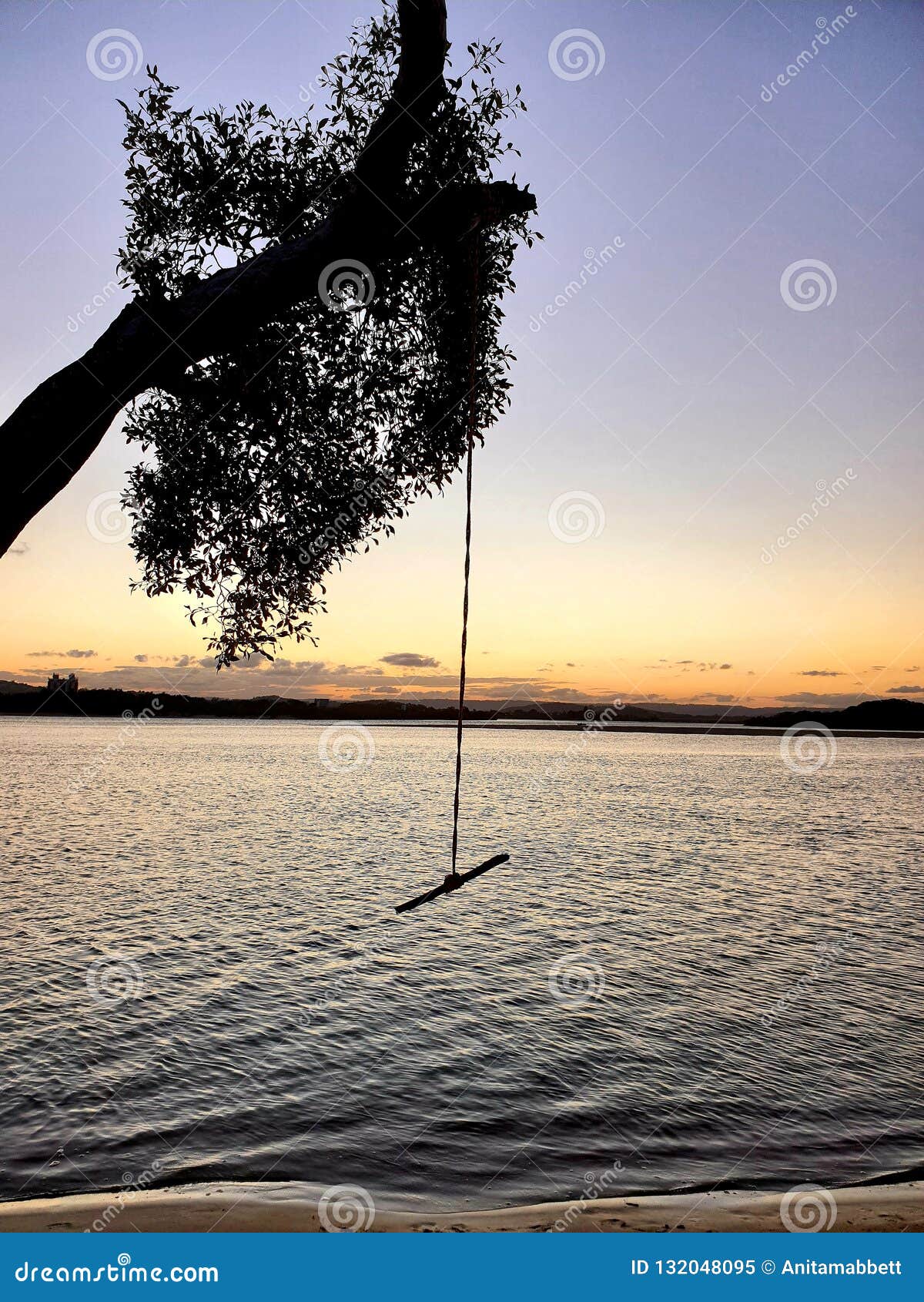 Dangerous Tree Swing at Twin Waters Northshore Stock Image - Image of ...