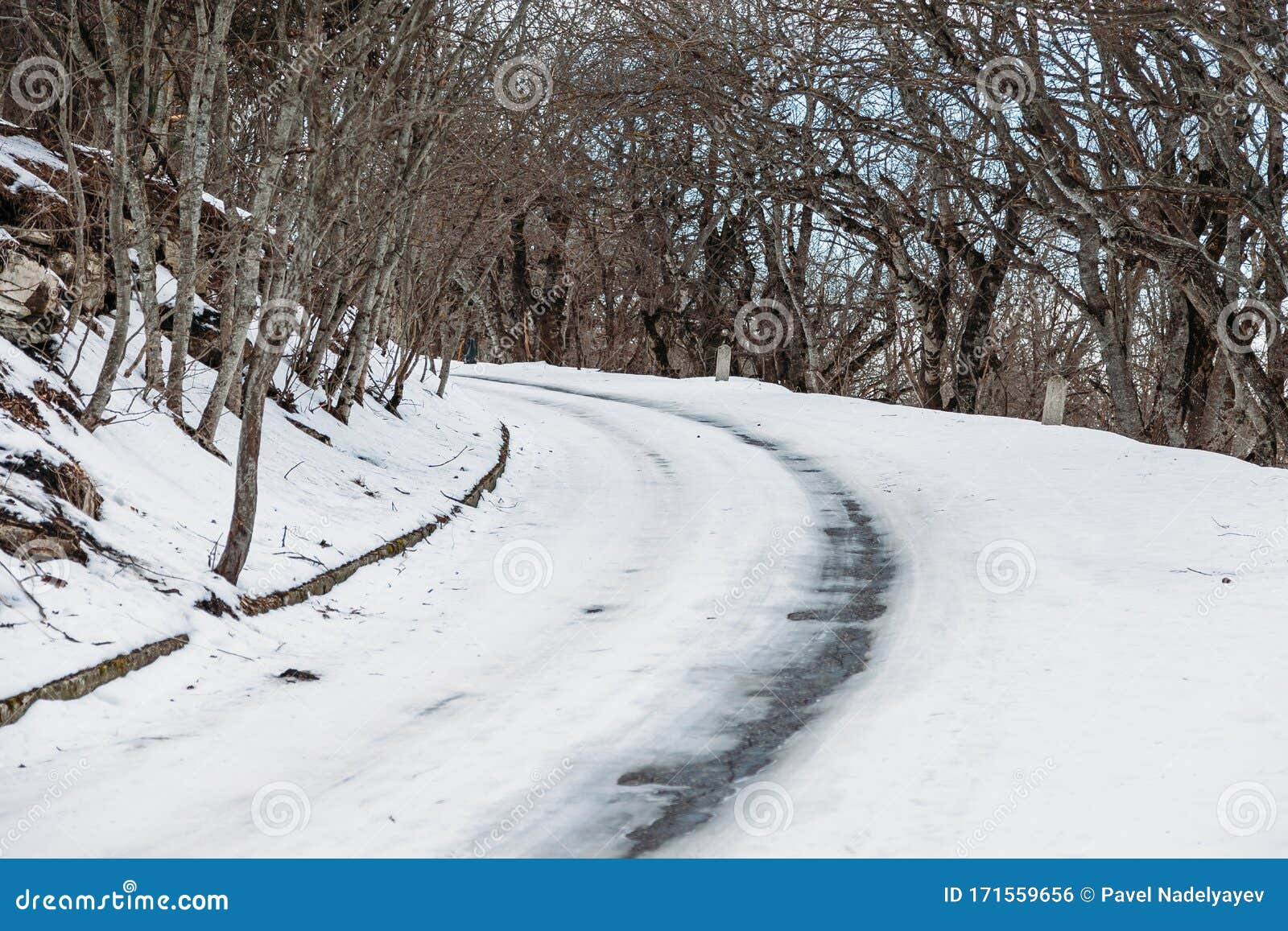 Dangerous Turn of Snow-covered Road in Forest Stock Photo - Image of ...