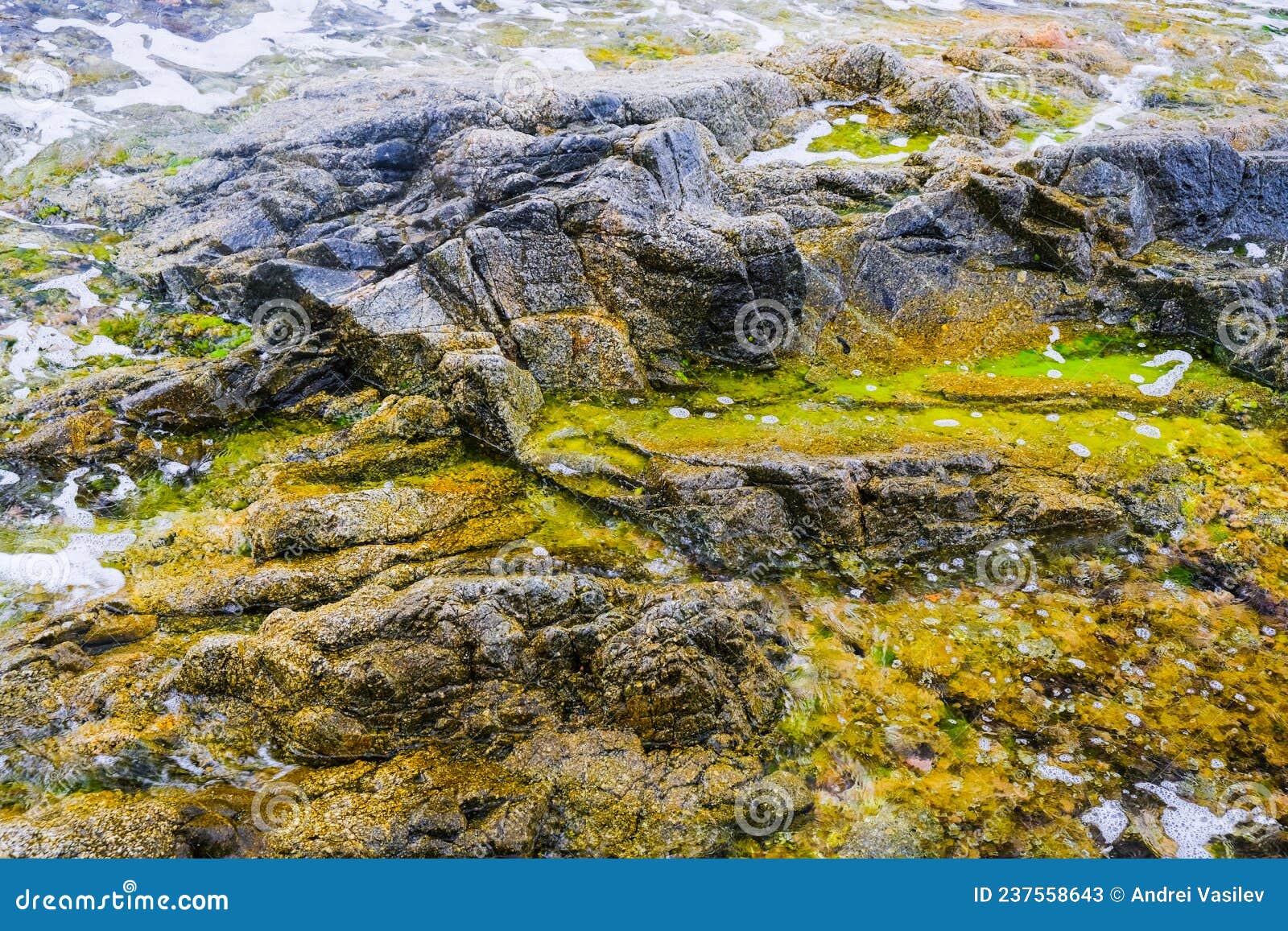 Dangerous Underwater Rock on Beach at Low Tide. Costa Brava, Spain ...