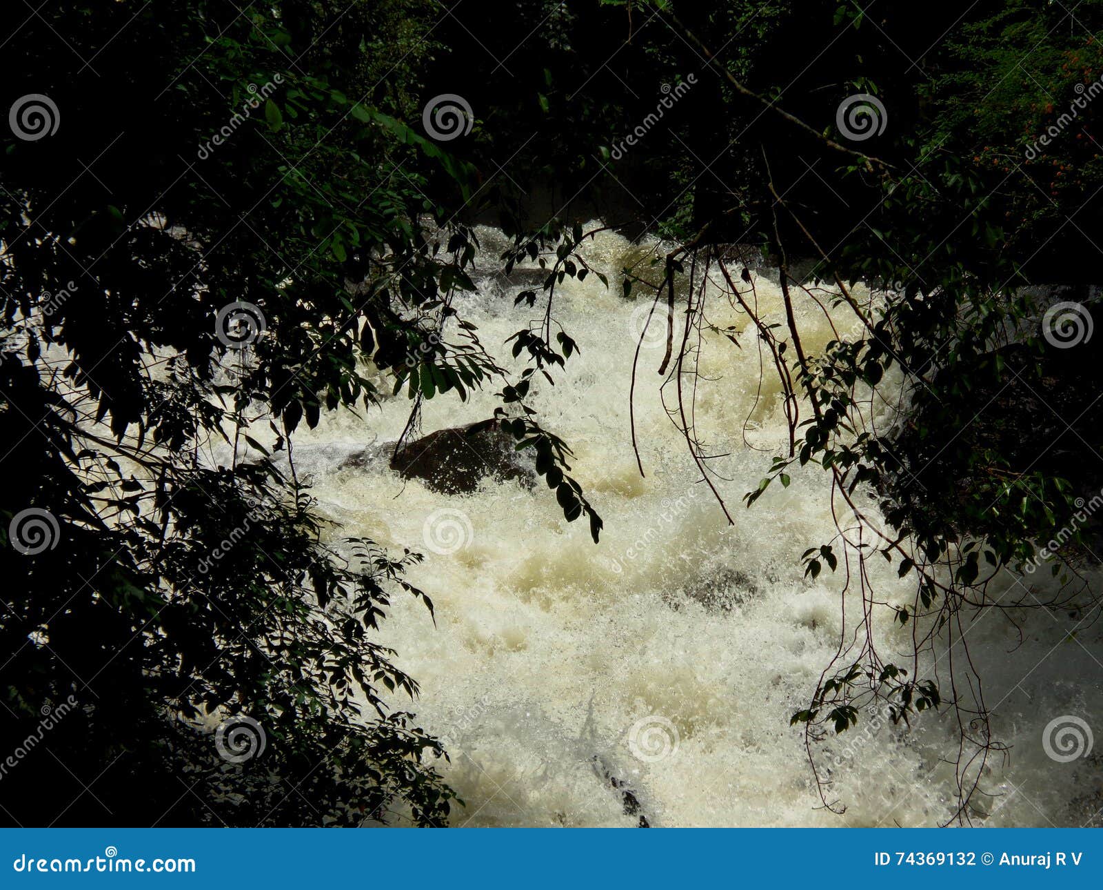 Dangerous water flow stock photo. Image of falls, flow - 74369132
