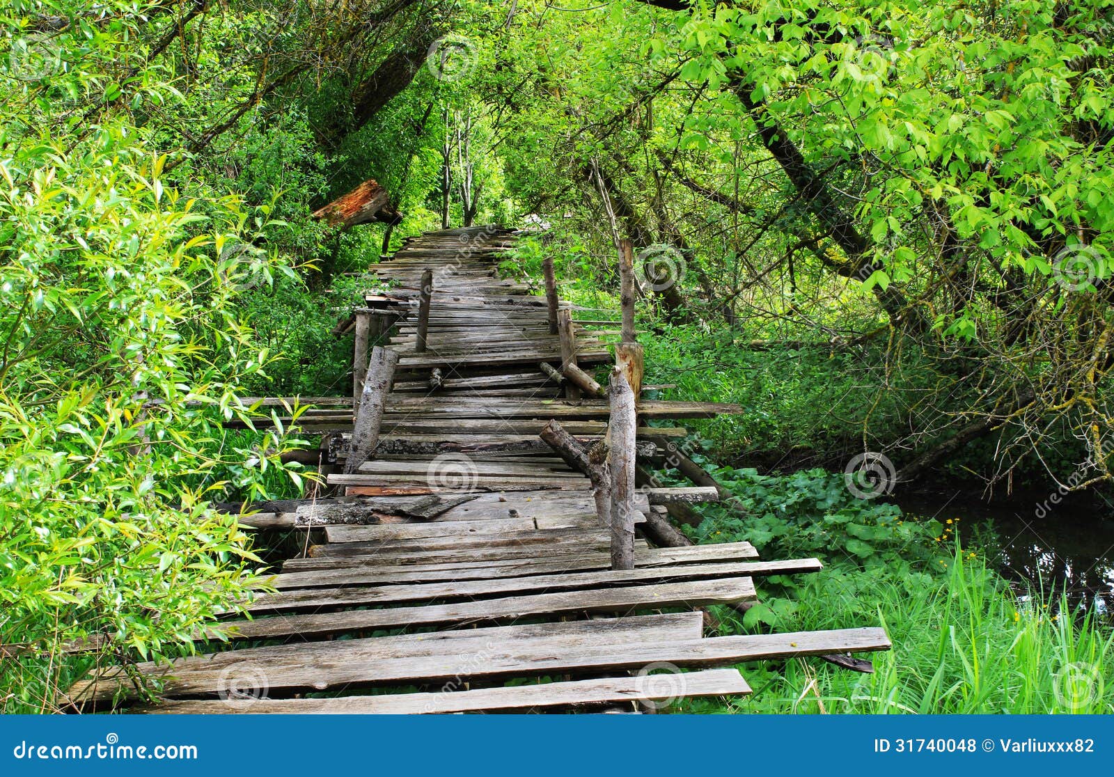 Dangerous wooden bridge stock photo. Image of danger - 31740048