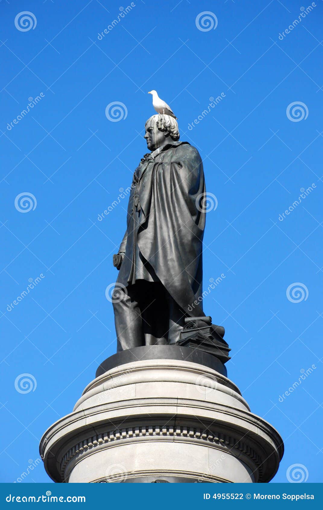 Daniel 0 ' Connoll Con La Paloma Foto de archivo - Imagen de ...