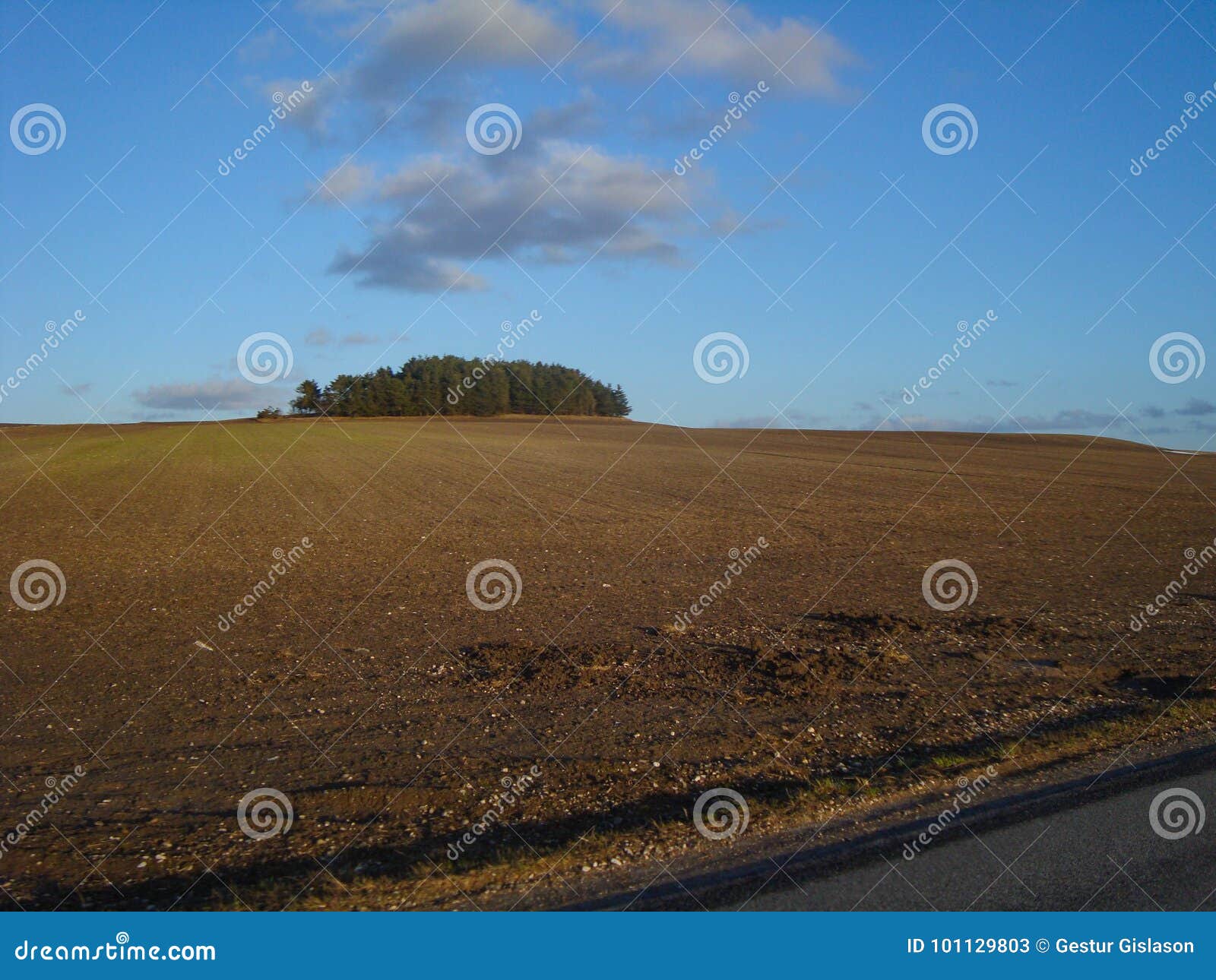 Danish field during spring stock image. Image of scenic - 101129803