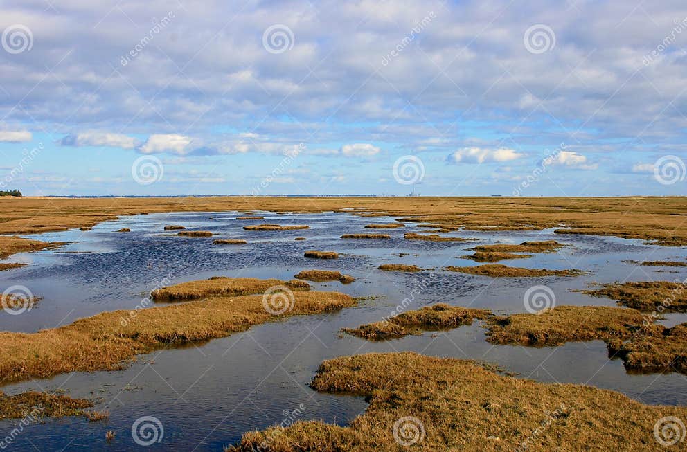 Danish bog land stock image. Image of blue, holidays - 13736035