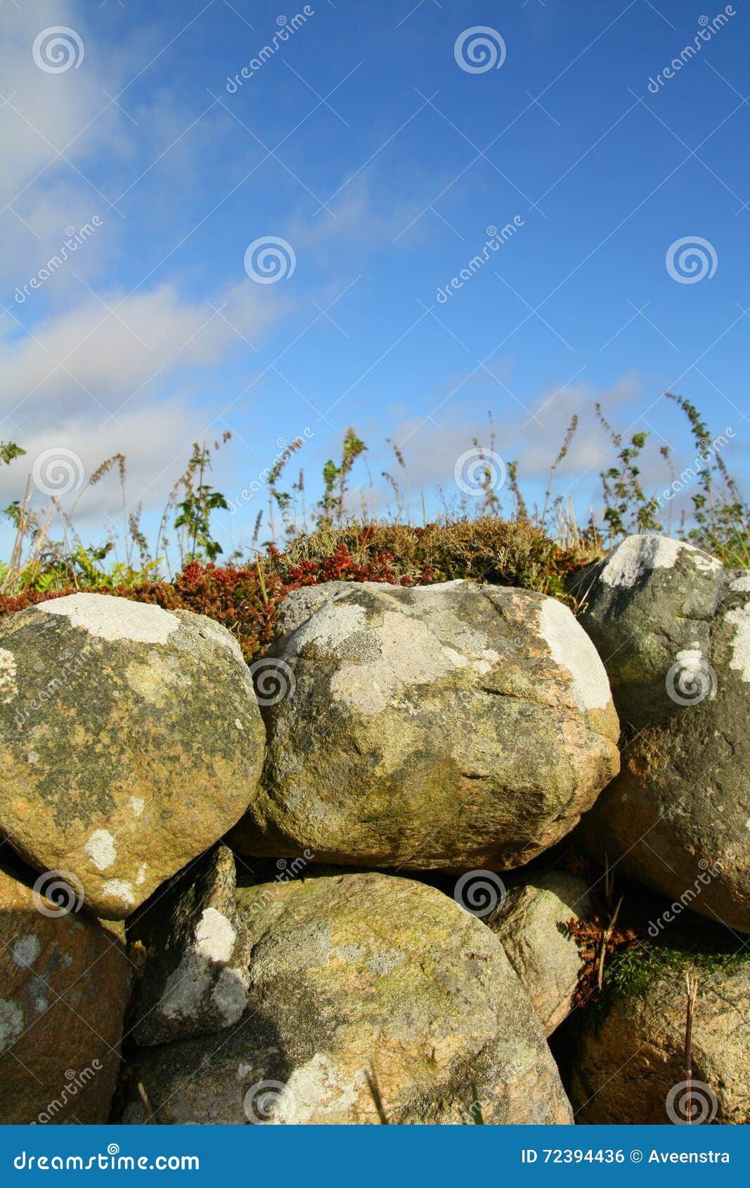 Medieval Rock Stones Bolders Along the Roadside in Denmark Stock Photo ...