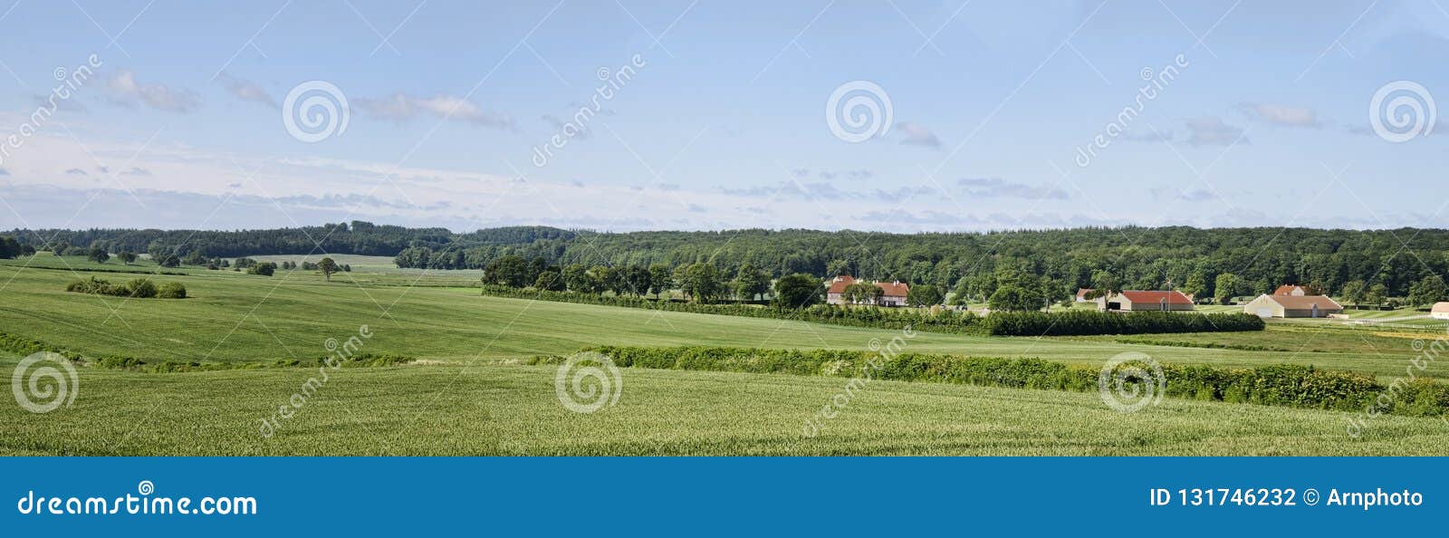 Danish Countryside in the Summer. Panorama Stock Photo - Image of farm ...