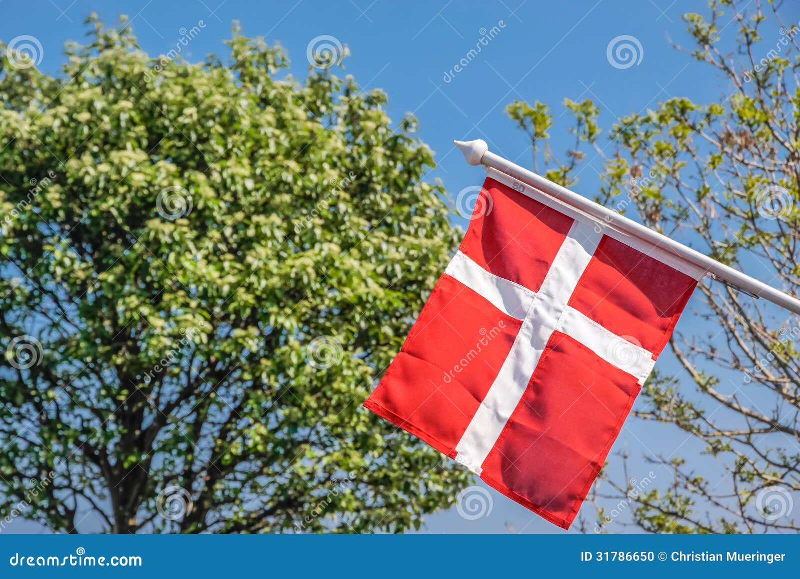 Danish flag stock photo. Image of northern, scandinavia - 31786650