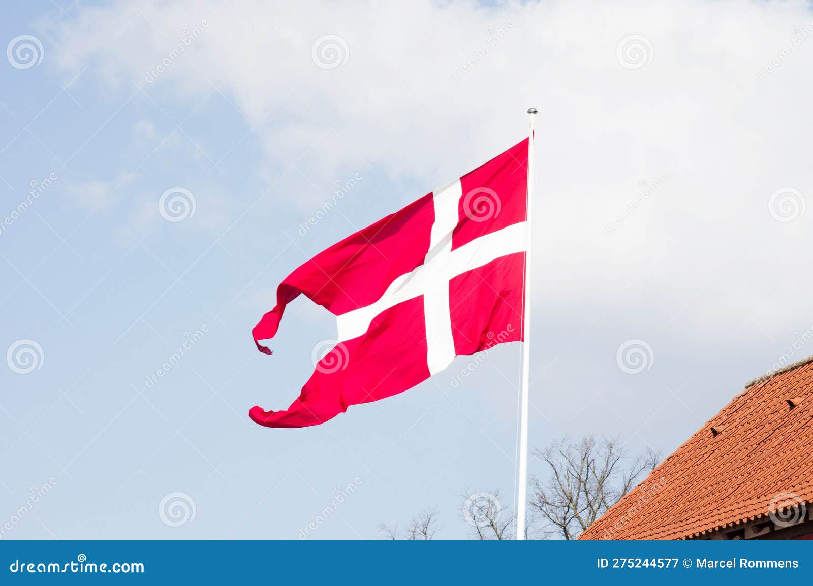 Danish Flag Waving in the Wind Stock Image - Image of country, cultural ...
