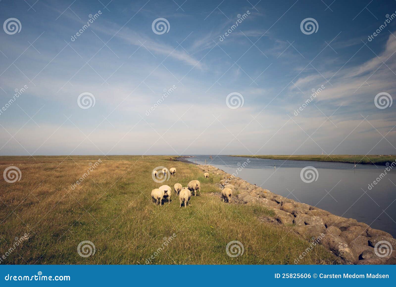 Danish landscape stock photo. Image of weather, river - 25825606