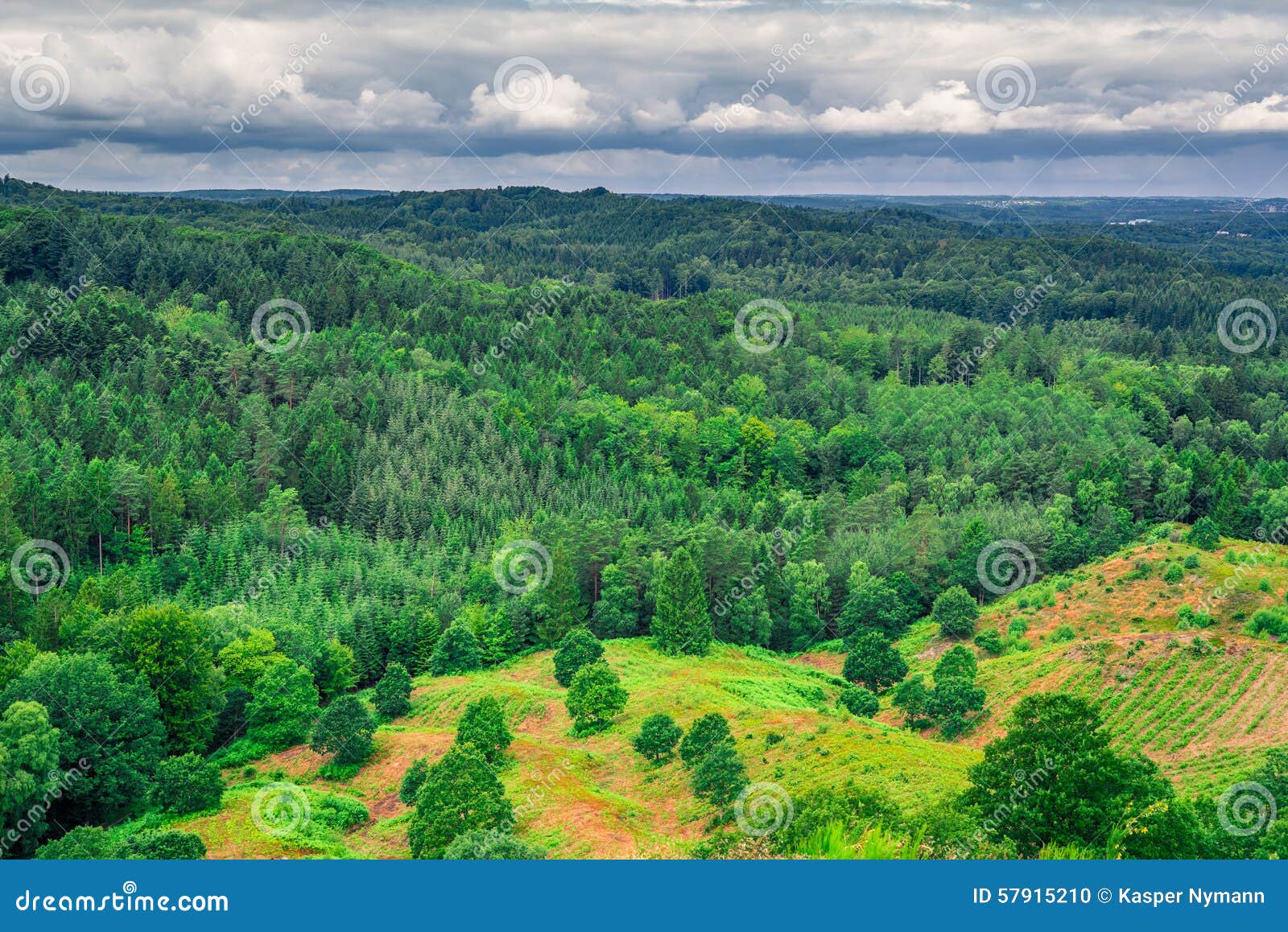 Danish Landscape with Green Trees Stock Photo - Image of dark, rural ...