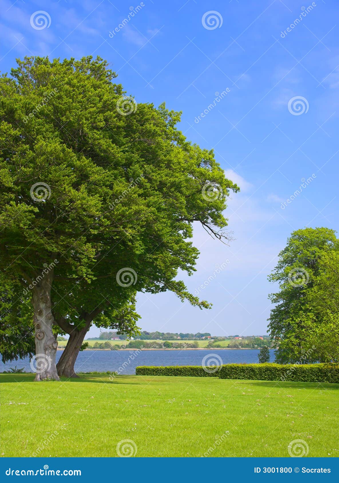 Danish park stock photo. Image of countryside, grass, nature - 3001800