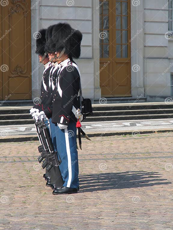 Danish Royal Guardsmen editorial photo. Image of copenhagen - 620276