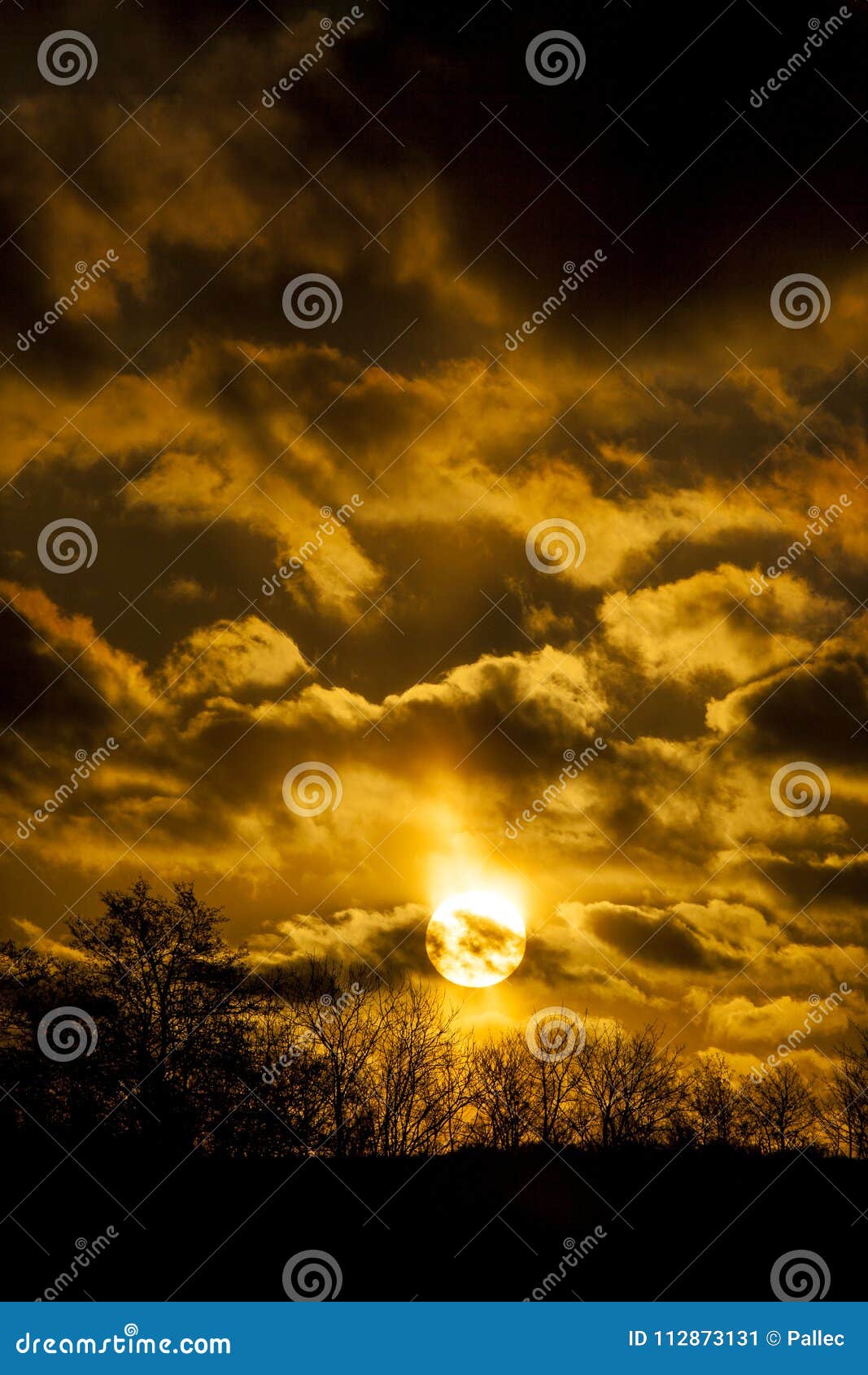 Danish Sunset Above a Forest with Dramatic Sky Stock Image - Image of ...