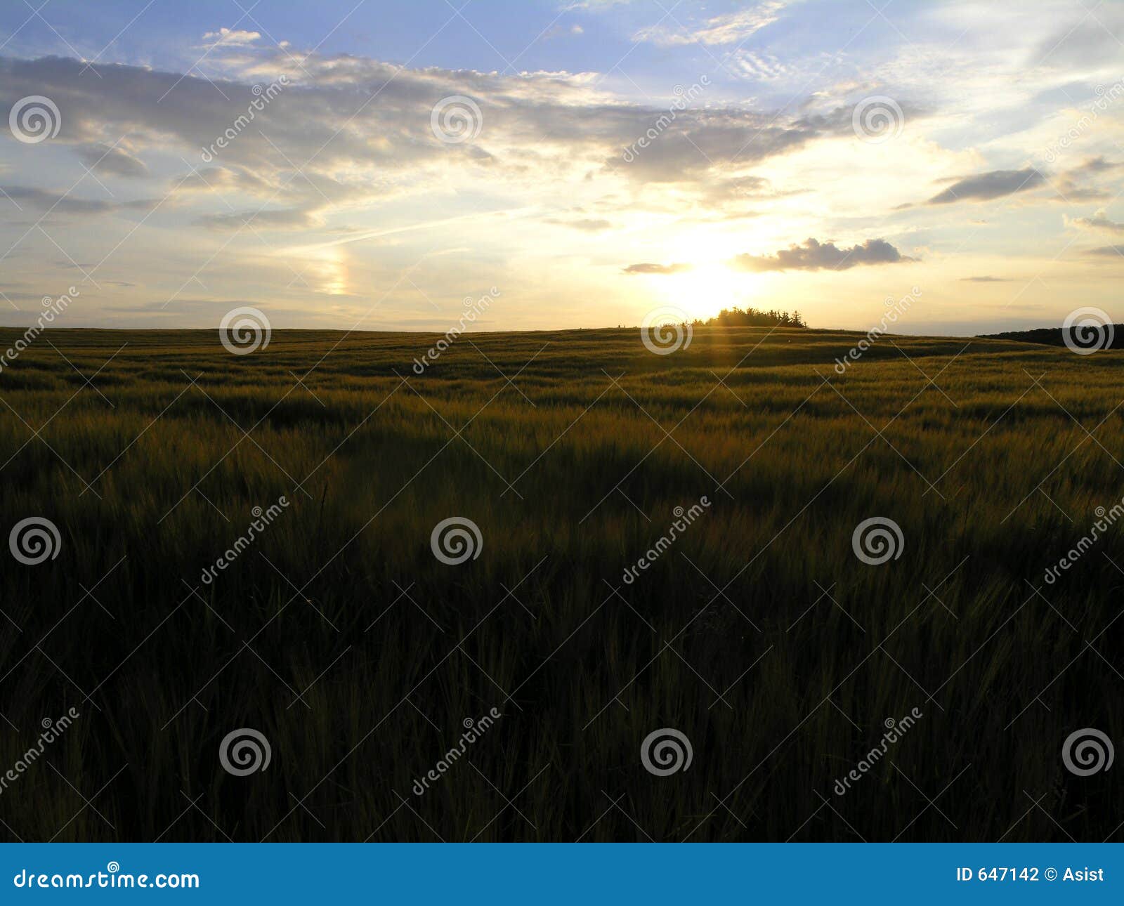 Danish sunset landscape stock photo. Image of denmark, field - 647142
