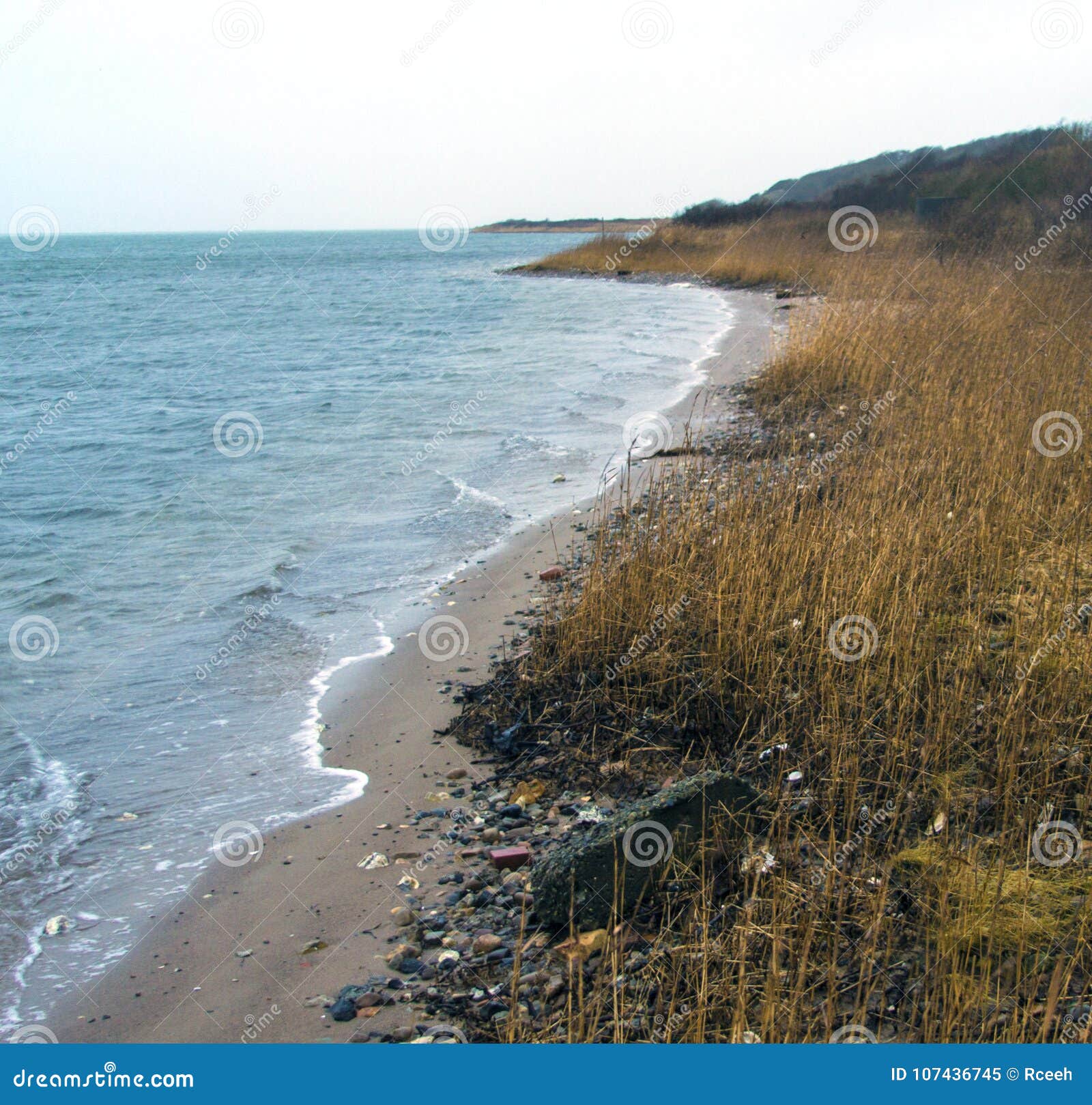 Danish wild beach stock image. Image of landscape, city - 107436745