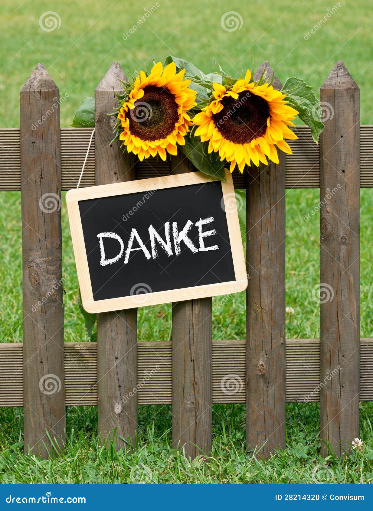 312 Danke Flower Stock Photos - Free & Royalty-Free Stock Photos from ...