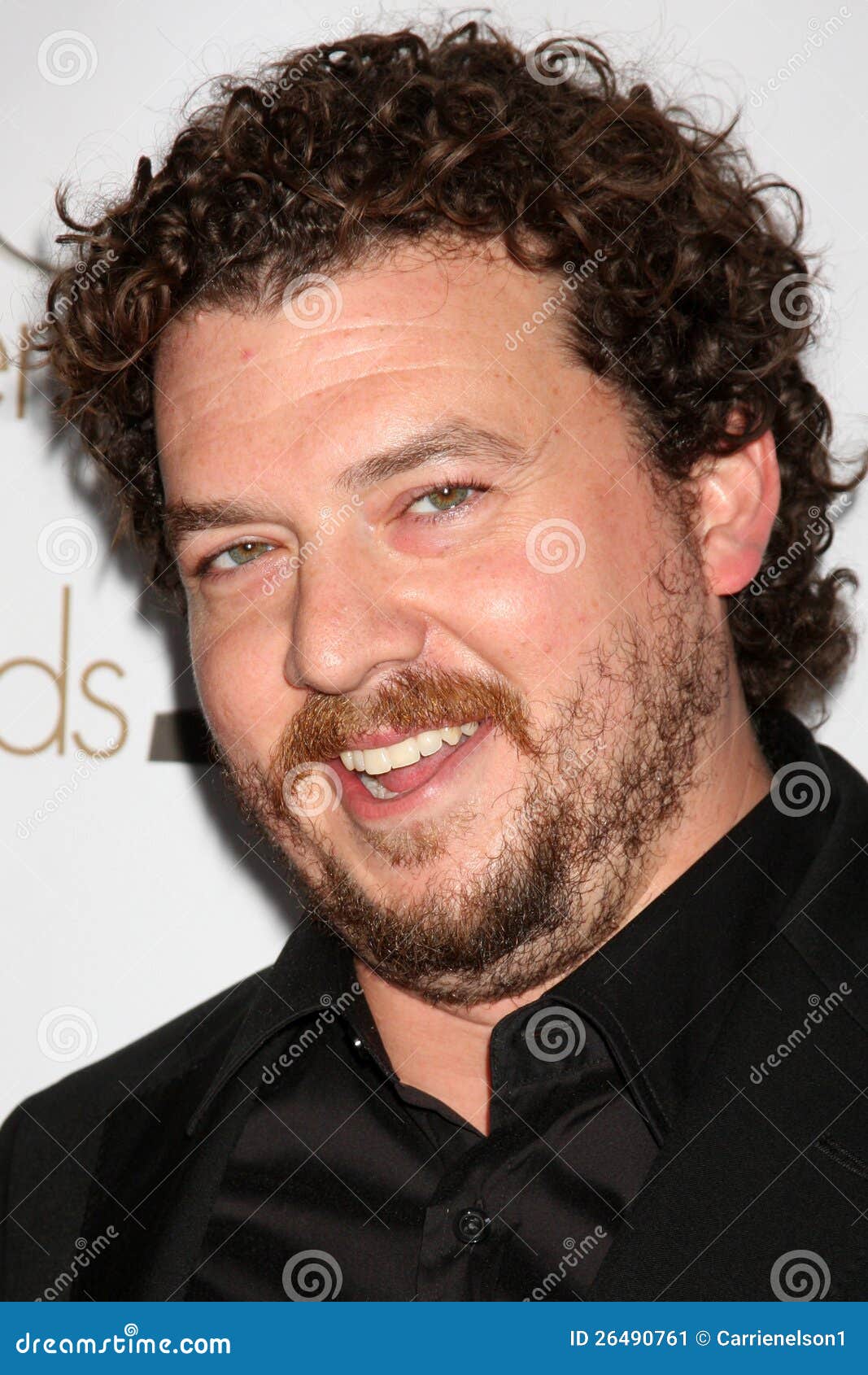 Danny McBride editorial photo. Image of guild, plaza - 26490761